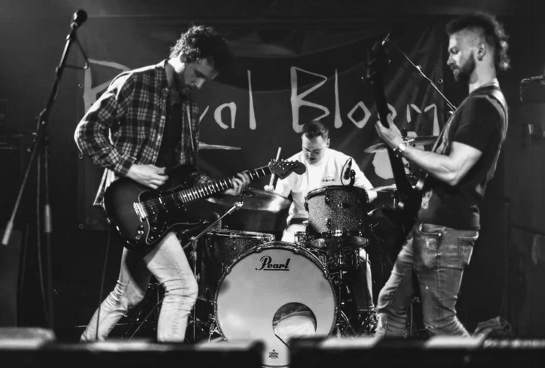 Royal Bloom Playing Live this Saturday Night!